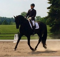 Don Rico | Canadian Sport Horse Association